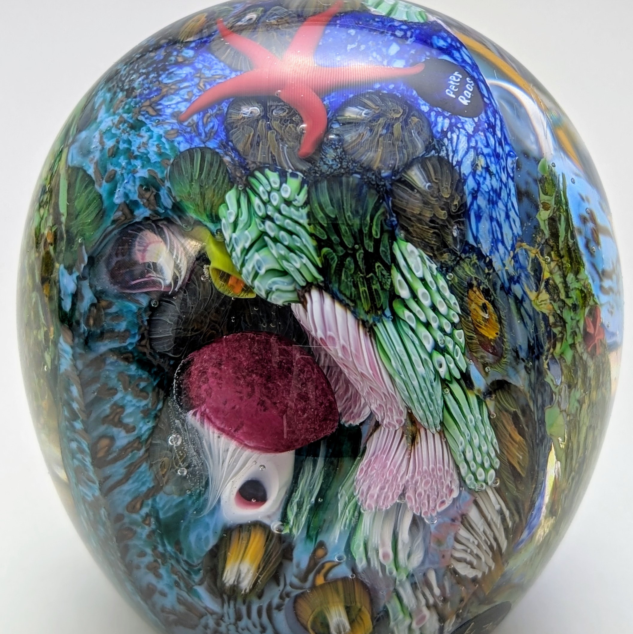 Pacific Collection paperweights – Peter Raos