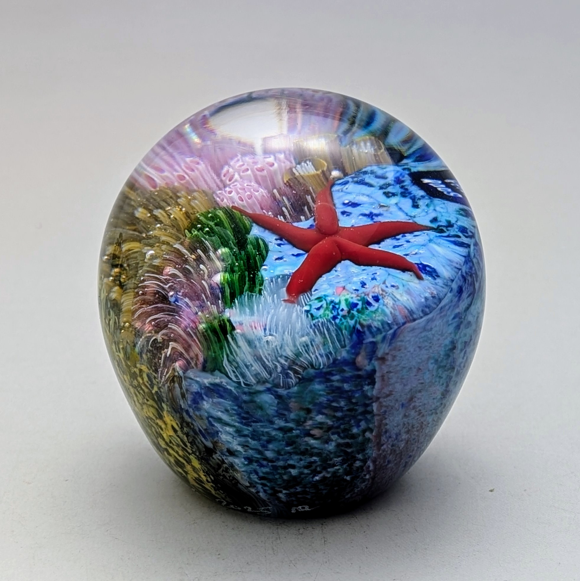 Pacific Collection paperweights – Peter Raos